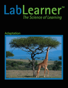 adapt-intro | LabLearner.com