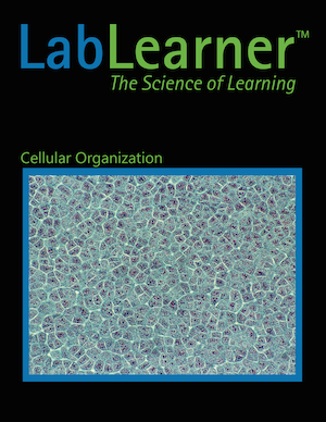 cell-intro | LabLearner.com