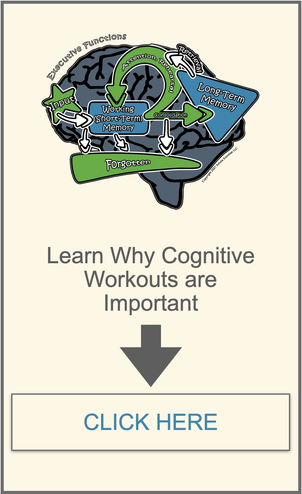 cognitive workouts | LabLearner.com