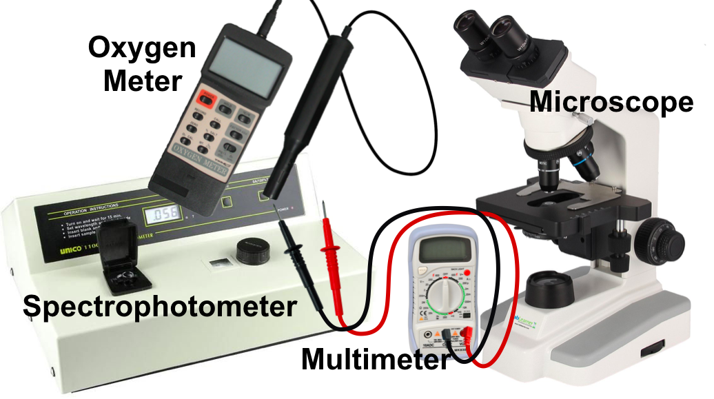 Middle School Tools | LabLearner.com