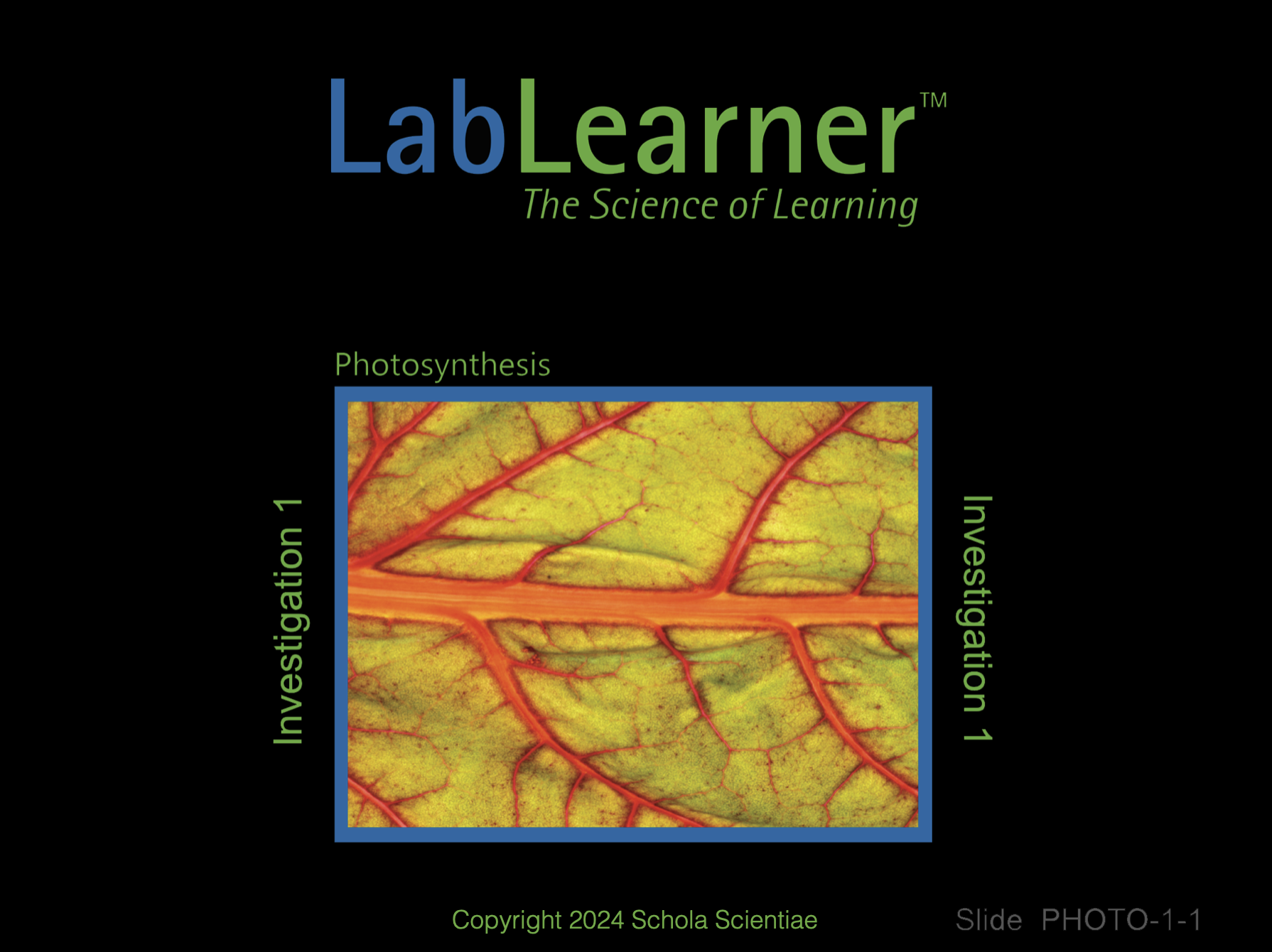 dMSPhoto1_slides-t | LabLearner.com