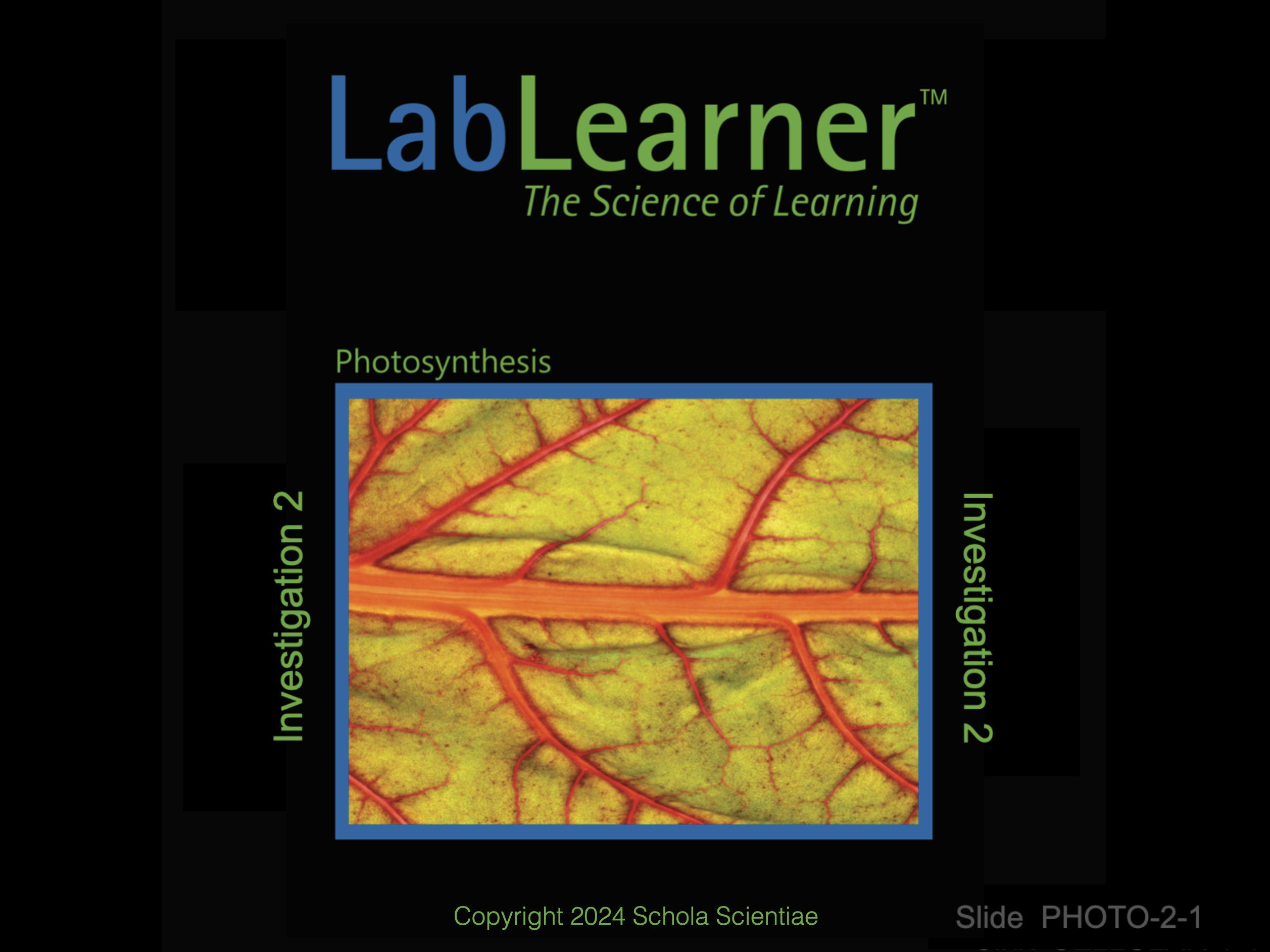 dMSPhoto2_slides-t | LabLearner.com