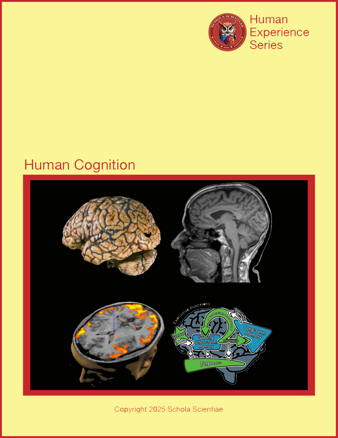 zsem | LabLearner.com