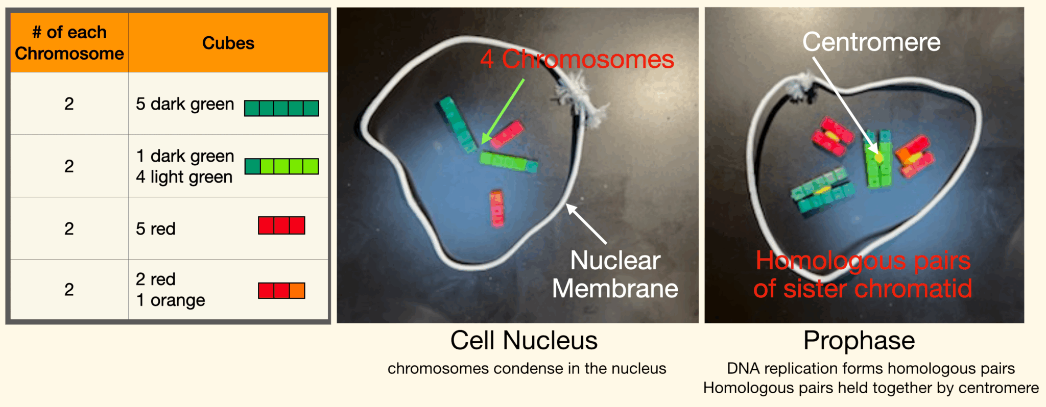 zhpd1dem-lab-s | LabLearner.com